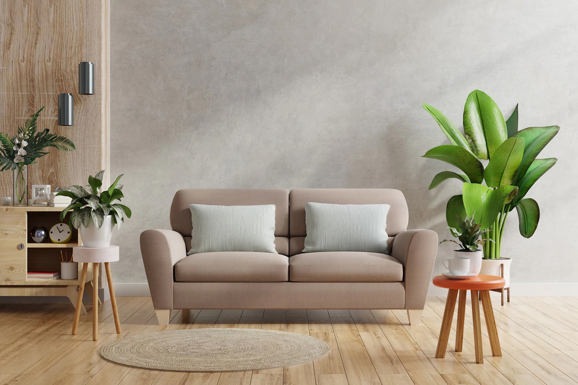 Choosing a Minimalist Lifestyle for a More Sustainable Living | ECOly