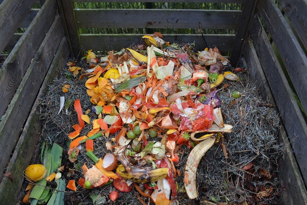 Zero Waste Lifestyle: Environmental Benefits of Reducing Waste | ECOly