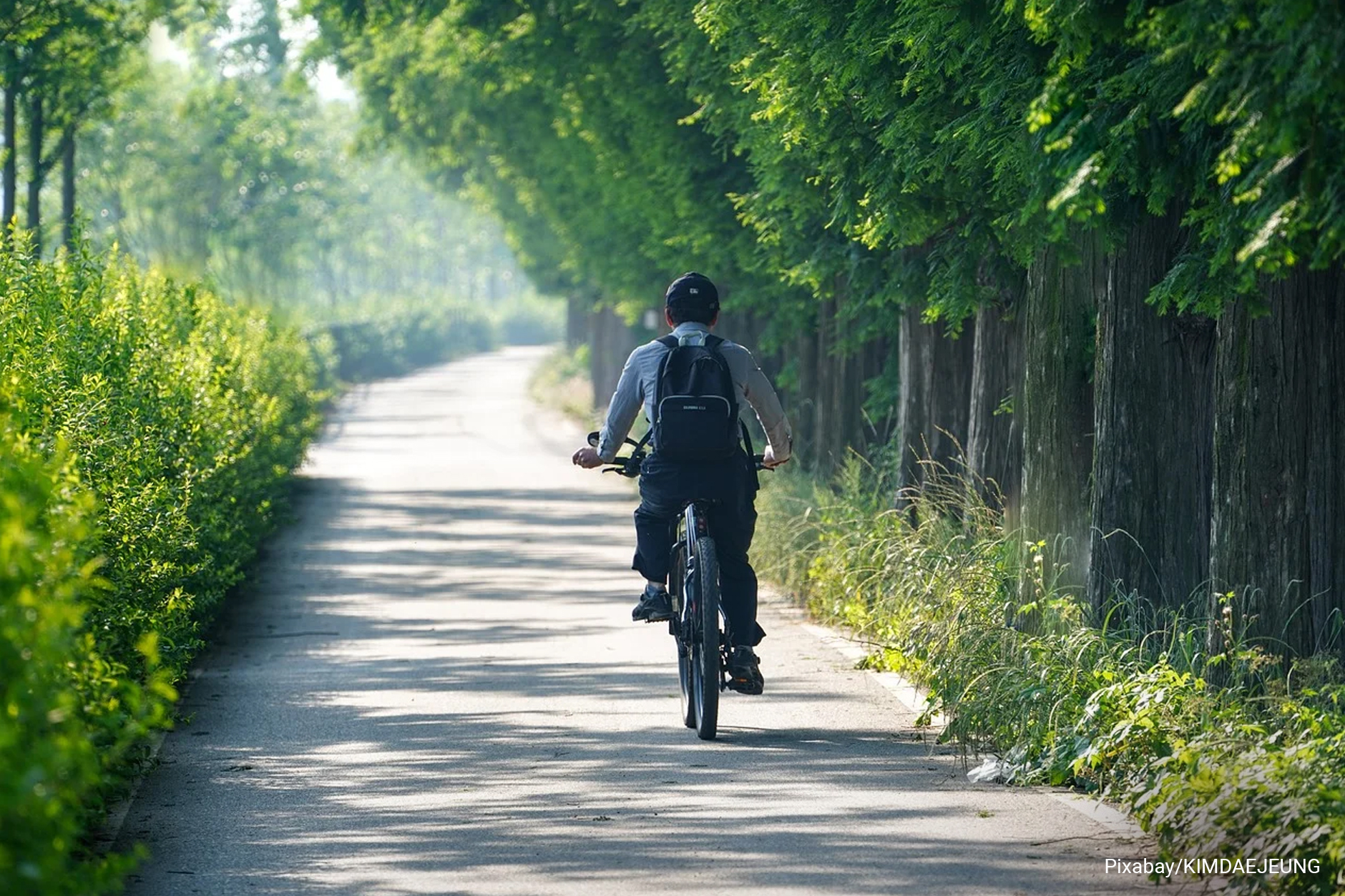 Eco-Friendly Basics: Understanding Sustainable Decisions | Eco-friendly ...