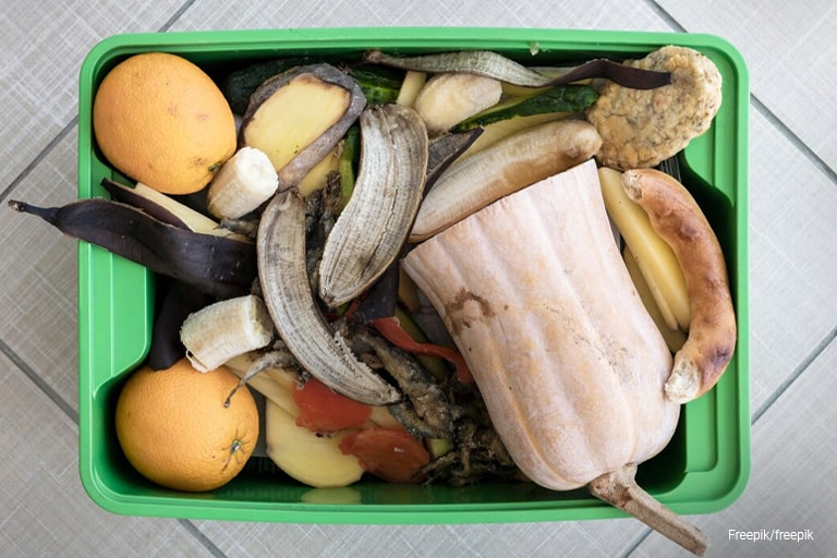 The Ultimate Guide to Achieving Zero Food Waste at Home