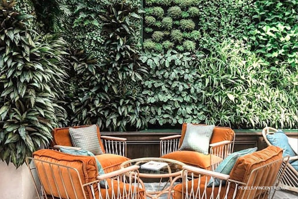 Hydroponic and Vertical Gardening: Sustainable Urban Farming |Eco ...