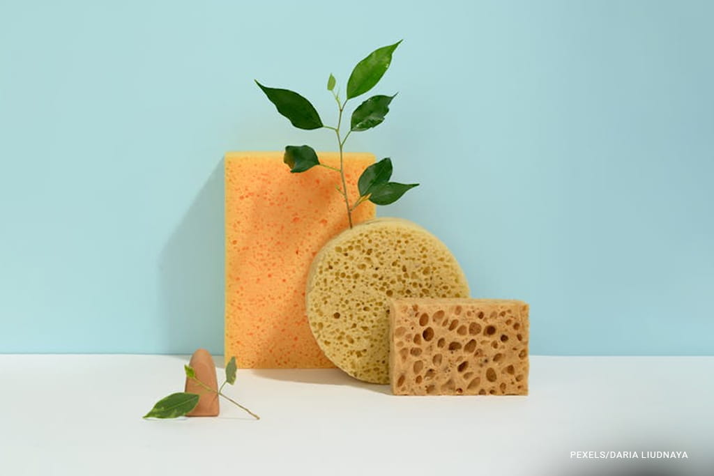 Eco-Friendly Brush and Sponge Alternatives Guide | Eco-friendly Living ...