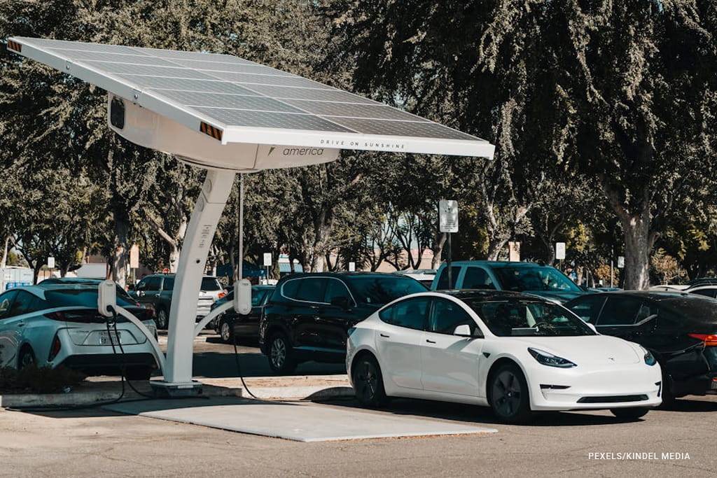 Top Ethical Brands to Watch in 2026 | Sustainable Picks | Eco-friendly ...